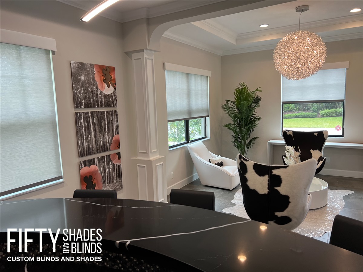 Translucent Shades Photos - Fifty Shades and Blinds