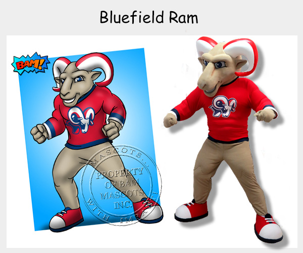 Custom Animal Mascots Gallery