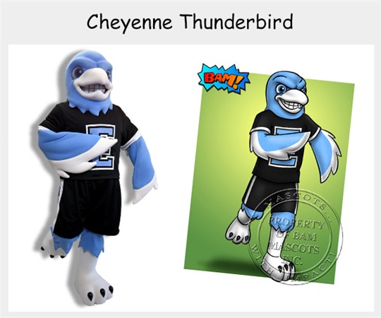Custom Made Bird Mascots & Costumes