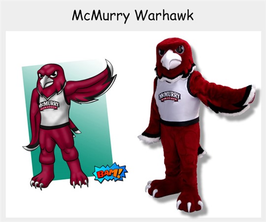 Custom Made Bird Mascots & Costumes