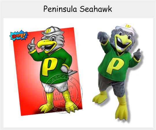 Custom Made Bird Mascots & Costumes
