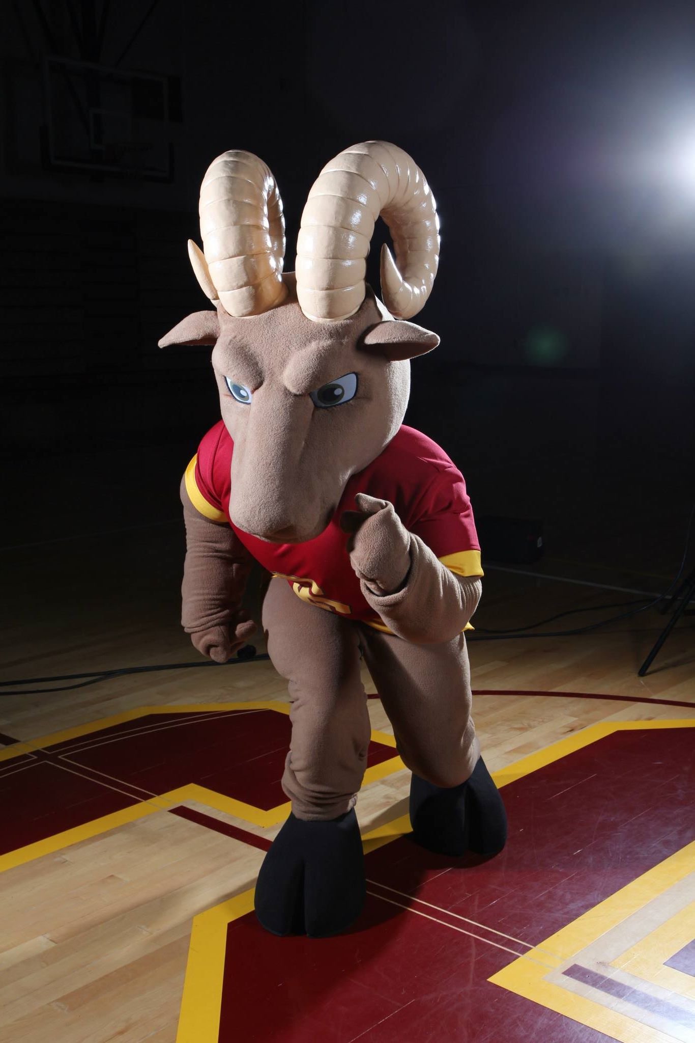 Bam Mascots In Action! A testimonial gallery of Mascots