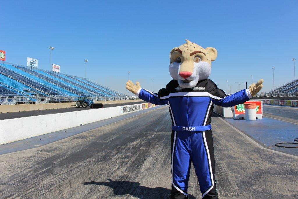 Bam Mascots In Action! A testimonial gallery of Mascots