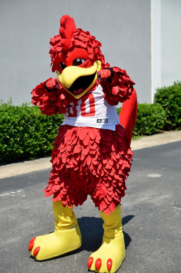 Bam Mascots In Action! A testimonial gallery of Mascots