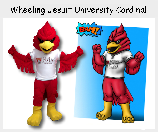 Custom Made Bird Mascots & Costumes