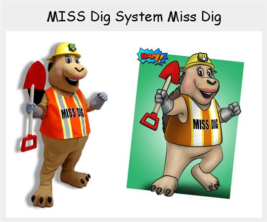 Rodents - Mouse, Rat and Mole Custom Mascots