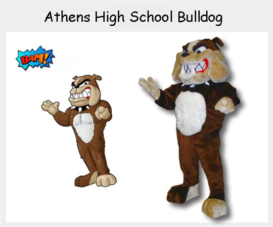 Custom Dogs, Wolves & Foxes Mascots