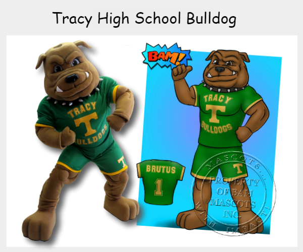 Custom Dogs, Wolves & Foxes Mascots