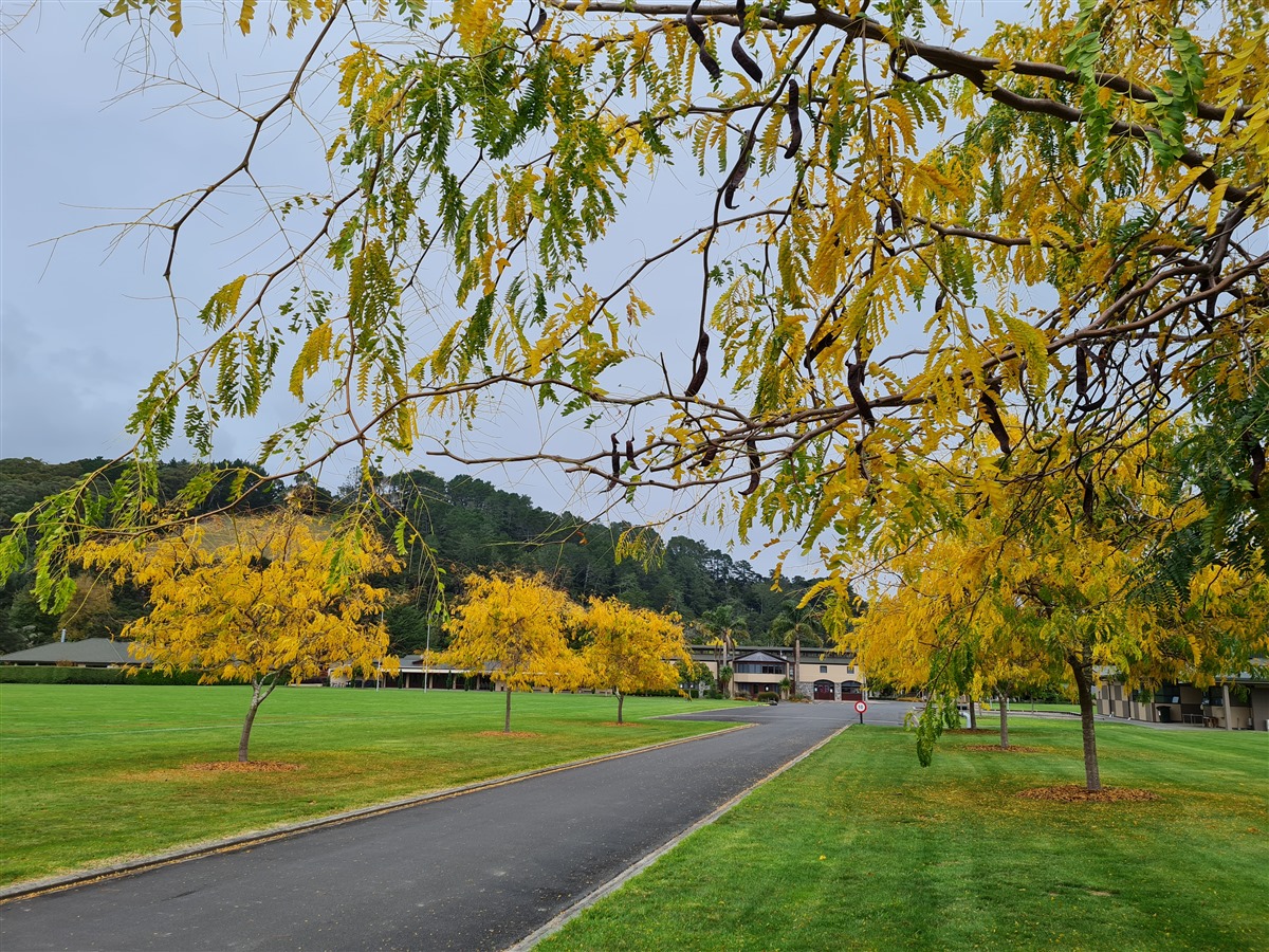 Get Outside: Dilworth School Rural Campus
