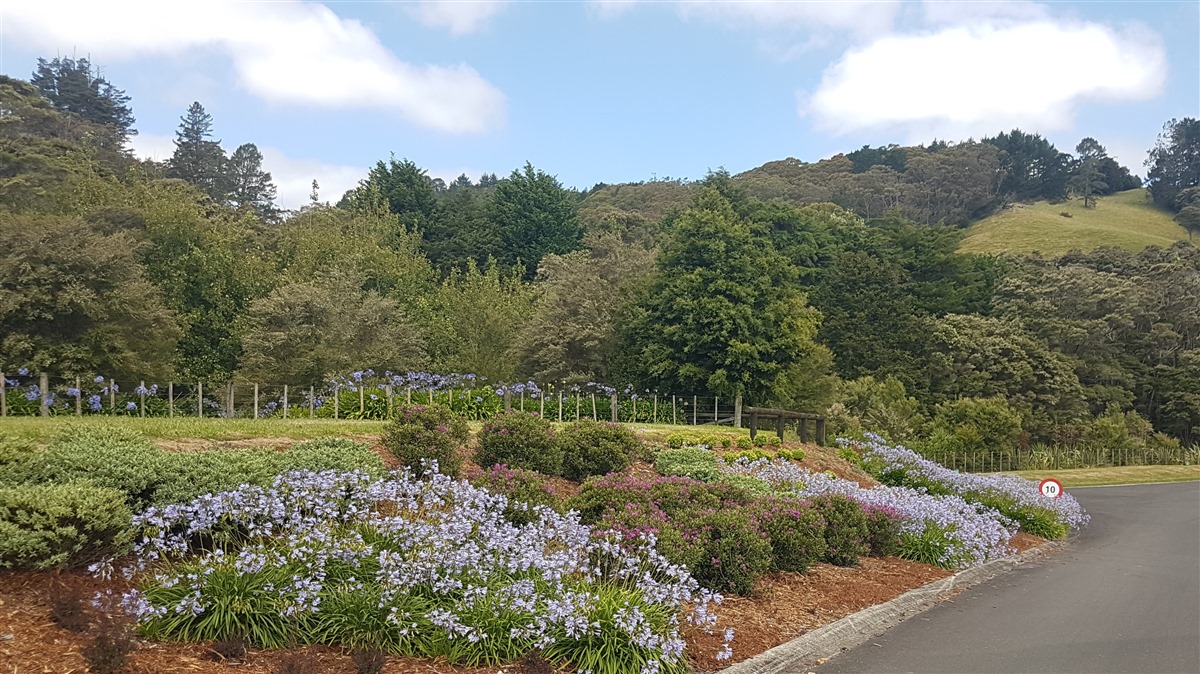 Get Outside: Dilworth School Rural Campus