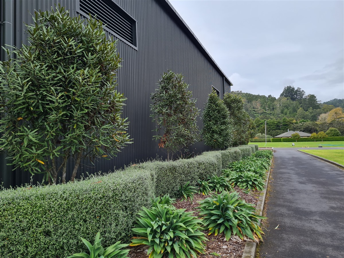 Get Outside: Dilworth School Rural Campus