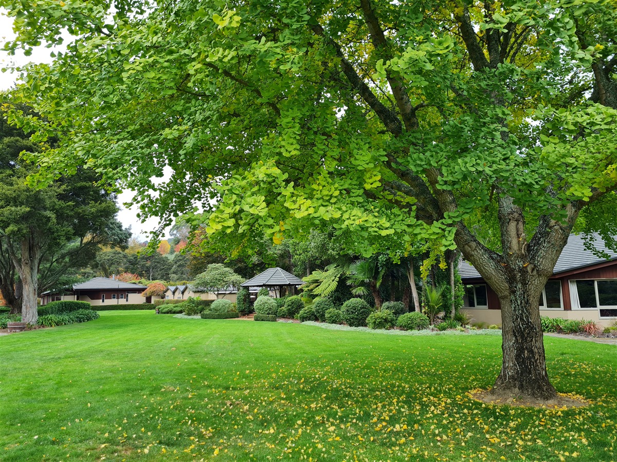 Get Outside: Dilworth School Rural Campus