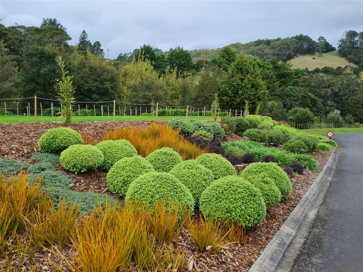 Get Outside: Dilworth School Rural Campus