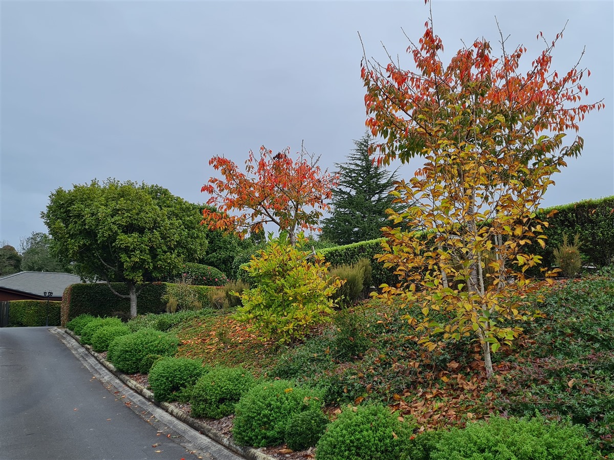 Get Outside: Dilworth School Rural Campus