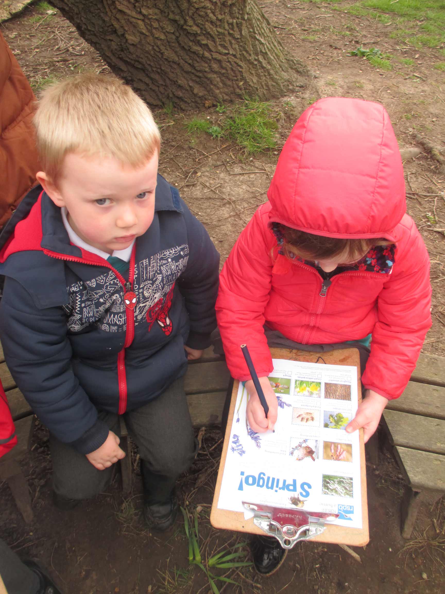 Gallery at West Rise Primary School