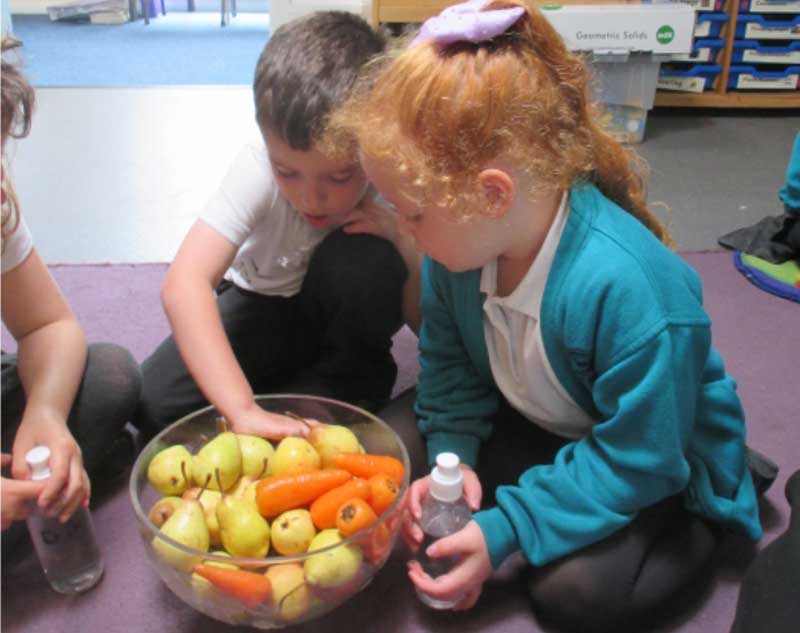 Gallery at West Rise Primary School